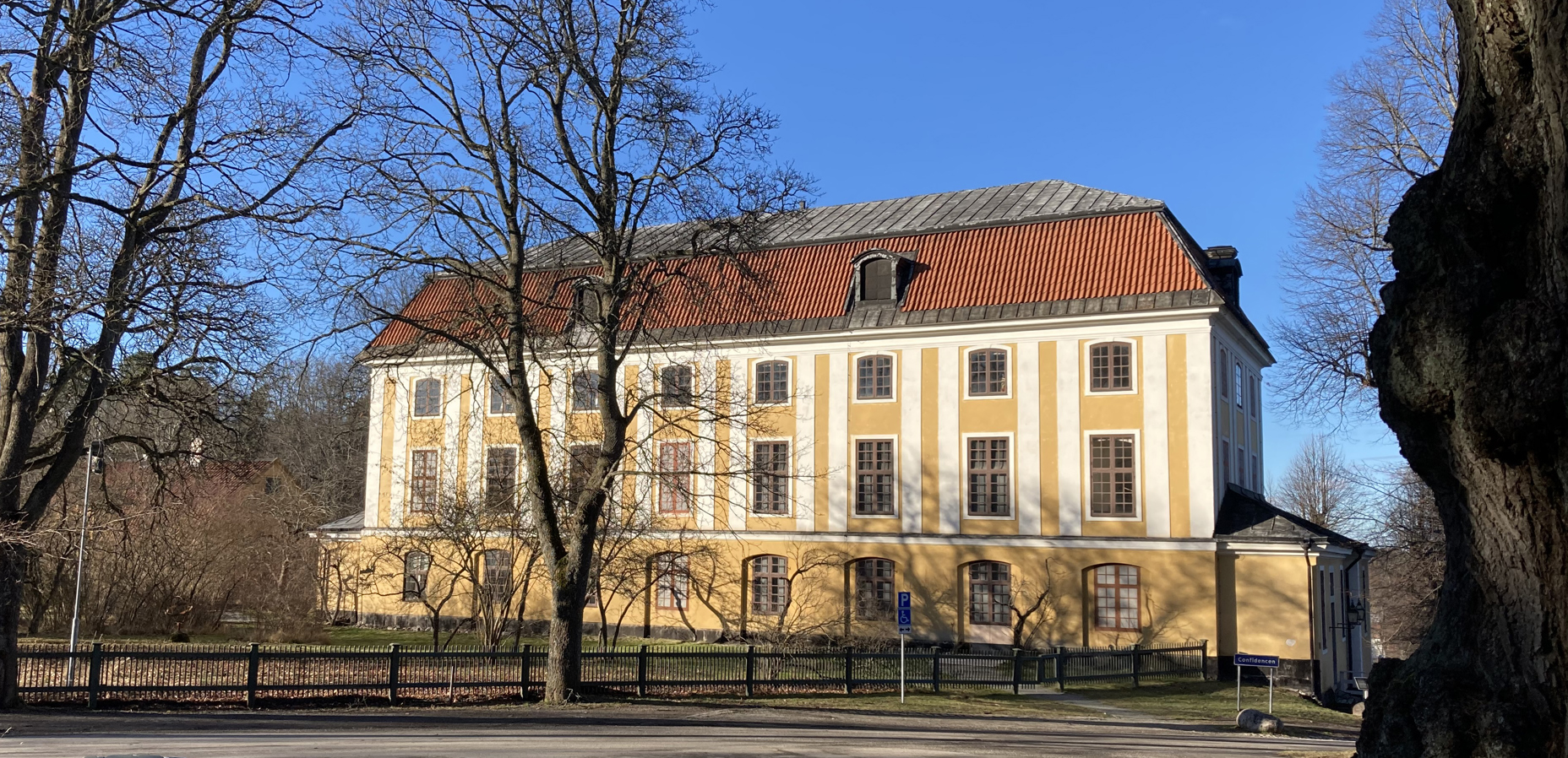 Anekdoten: Frihetstidens prima ballerina - Operans Balettklubb